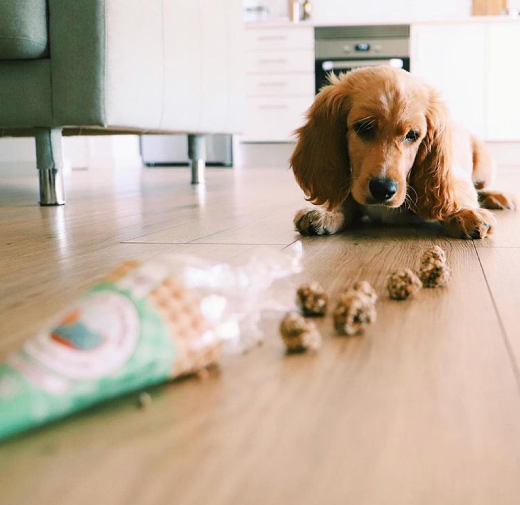 COOKA'S COOKIES - Pupici cu Sardină și Porc - Gustare crocantă - 50g ...